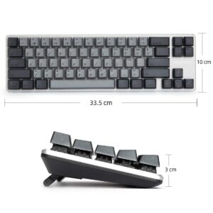 Qisan Holiday Sale 30% Discount Off Mechanical Keyboard Gaming Keyboard Kailh Blue Switch Wired Backlit PBT Keycaps Mini Design (60%) 68 Keys Keyboard Magicforce (Gray Combo)