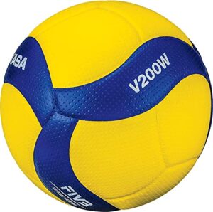 mikasa v200w, volleyball