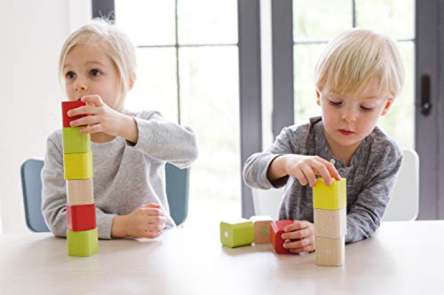 Tegu 6 Piece Magnetic Baby’s First Building Blocks, Tints