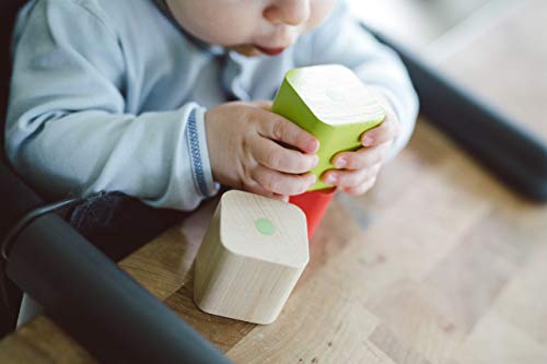 Tegu 6 Piece Magnetic Baby’s First Building Blocks, Tints