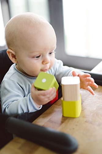 Tegu 6 Piece Magnetic Baby’s First Building Blocks, Tints