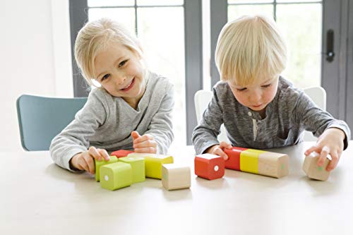 Tegu 6 Piece Magnetic Baby’s First Building Blocks, Tints