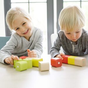 Tegu 6 Piece Magnetic Baby’s First Building Blocks, Tints