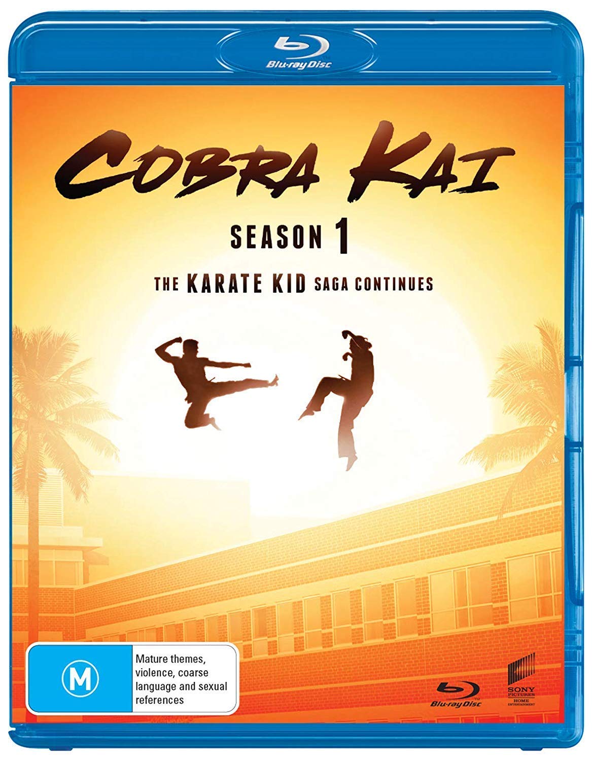 Cobra Kai - Season 1