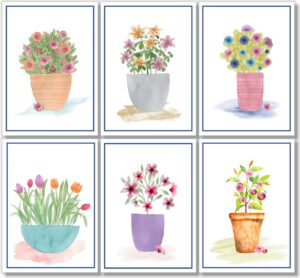 floral wall art decor - potted flower botanical prints - set of 6-5x7 - unframed