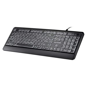 surnqiee large letter print keyboard, 104 keys standard full size usb wired white led backlit computer keyboard (kb612)