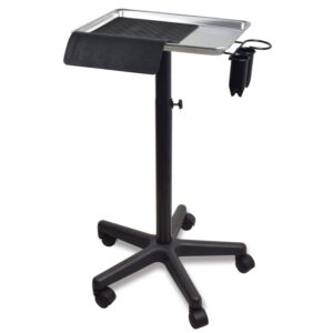 premium aluminum instrument salon tray w/accessory caddy tattoo rolling tray station height trolley beauty tool