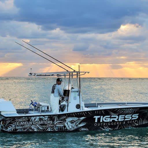 Tigress XD Telescoping Aluminum 15’ Center Outrigger, Ideal for Sport Fishing Boats up to 40 feet, Features Tigress XD 316 L Stainless Steel for Durability, Black