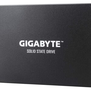 GIGABYTE SSD 1TBB NAND Flash SATA III 2.5" Internal Solid State Drive (GP-GSTFS31100TNTD)