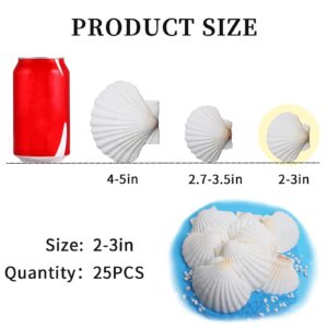 Lucky Baby 25pcs Scallop Shells for Crafts, 2-3 Inches White Large Natural Seashells for DIY Home Decor, Baking Shells for Serving Food