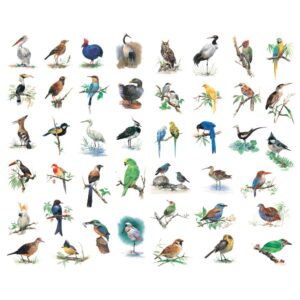 seasonstorm watercolor birds precut cute aesthetic diary travel paper junk journal stickers scrapbooking stationery sticker flakes art supplies (pk350)