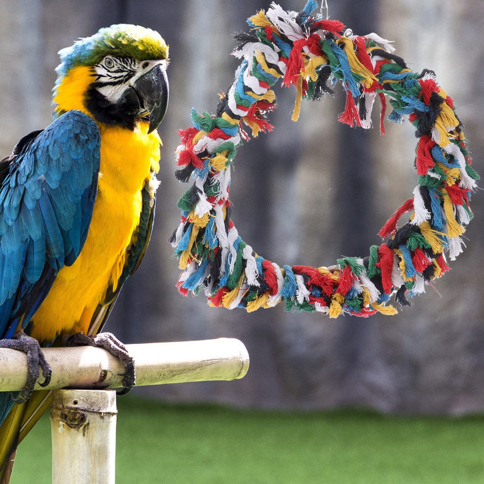 Bird Snuggle Ring-Parrot Cotton Preening Grooming Ropes Colorful Hanging Swing for African Grey Small Cockatoos Conure (Random Color)