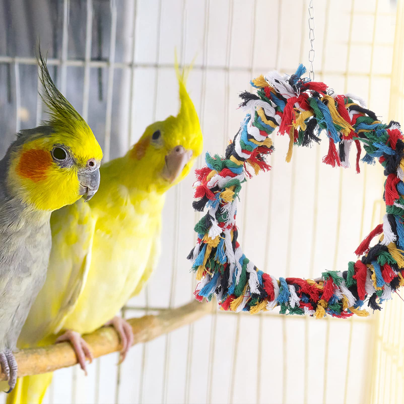 Bird Snuggle Ring-Parrot Cotton Preening Grooming Ropes Colorful Hanging Swing for African Grey Small Cockatoos Conure (Random Color)