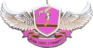 beam state champion gymnastics pin - 1920