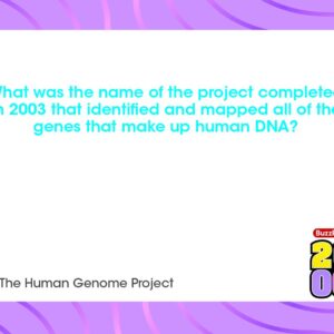 Buffalo Games - 2000's Ultimate Trivia - BuzzFeed Games