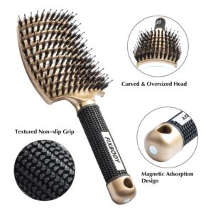 FIXBODY Boar Bristle Hair Brush - Curved & Vented & Oversize Design Detangling Hair Brush for Women Long, Thick, Curly and Tangled Hair Blow Drying Brush (Gold)