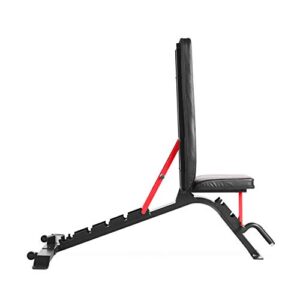 CAP Barbell Strength FID Workout Bench | Flat Incline Decline Positions, Black/Red