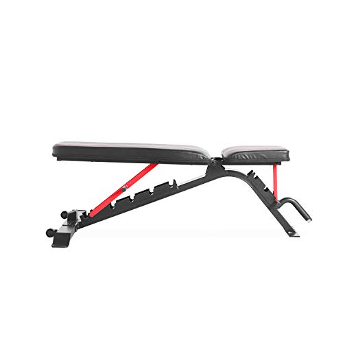 CAP Barbell Strength FID Workout Bench | Flat Incline Decline Positions, Black/Red