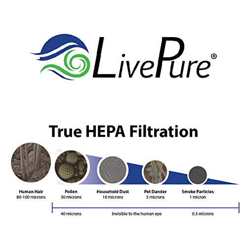 LivePure True HEPA Replacement LP-HF550 Filter for Bali Series Air Purifiers LP550TH, LP550THP, White