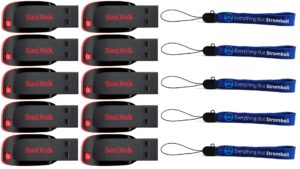 sandisk cruzer blade 128gb (10 pack bundle) usb 2.0 flash drive jump drive pen usb drive (sdcz50-128g-b35) plus (5) everything but stromboli (tm) lanyard