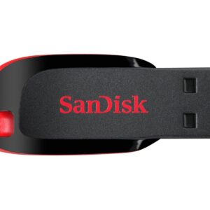 SanDisk Cruzer Blade 128GB (10 Pack Bundle) USB 2.0 Flash Drive Jump Drive Pen USB Drive (SDCZ50-128G-B35) Plus (5) Everything But Stromboli (TM) Lanyard