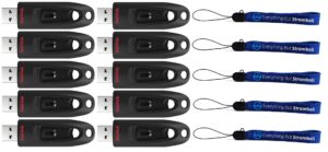 sandisk 128gb flash ultra (10 pack bundle) 3.0 usb flash drive high performance thumb drive (sdcz48-128g-u46) plus (5) everything but stromboli (tm) lanyard