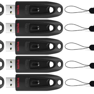 SanDisk 128GB Flash Ultra (10 Pack Bundle) 3.0 USB Flash Drive High Performance Thumb Drive (SDCZ48-128G-U46) Plus (5) Everything But Stromboli (TM) Lanyard