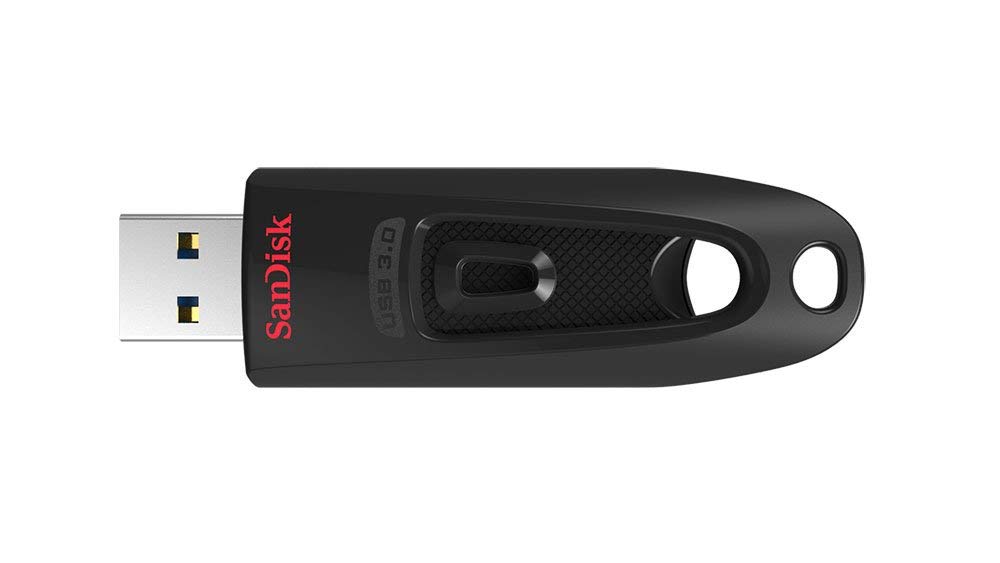 SanDisk 128GB Flash Ultra (10 Pack Bundle) 3.0 USB Flash Drive High Performance Thumb Drive (SDCZ48-128G-U46) Plus (5) Everything But Stromboli (TM) Lanyard