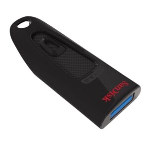 SanDisk 128GB Flash Ultra (10 Pack Bundle) 3.0 USB Flash Drive High Performance Thumb Drive (SDCZ48-128G-U46) Plus (5) Everything But Stromboli (TM) Lanyard