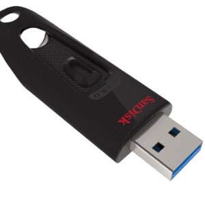 SanDisk 128GB Flash Ultra (10 Pack Bundle) 3.0 USB Flash Drive High Performance Thumb Drive (SDCZ48-128G-U46) Plus (5) Everything But Stromboli (TM) Lanyard