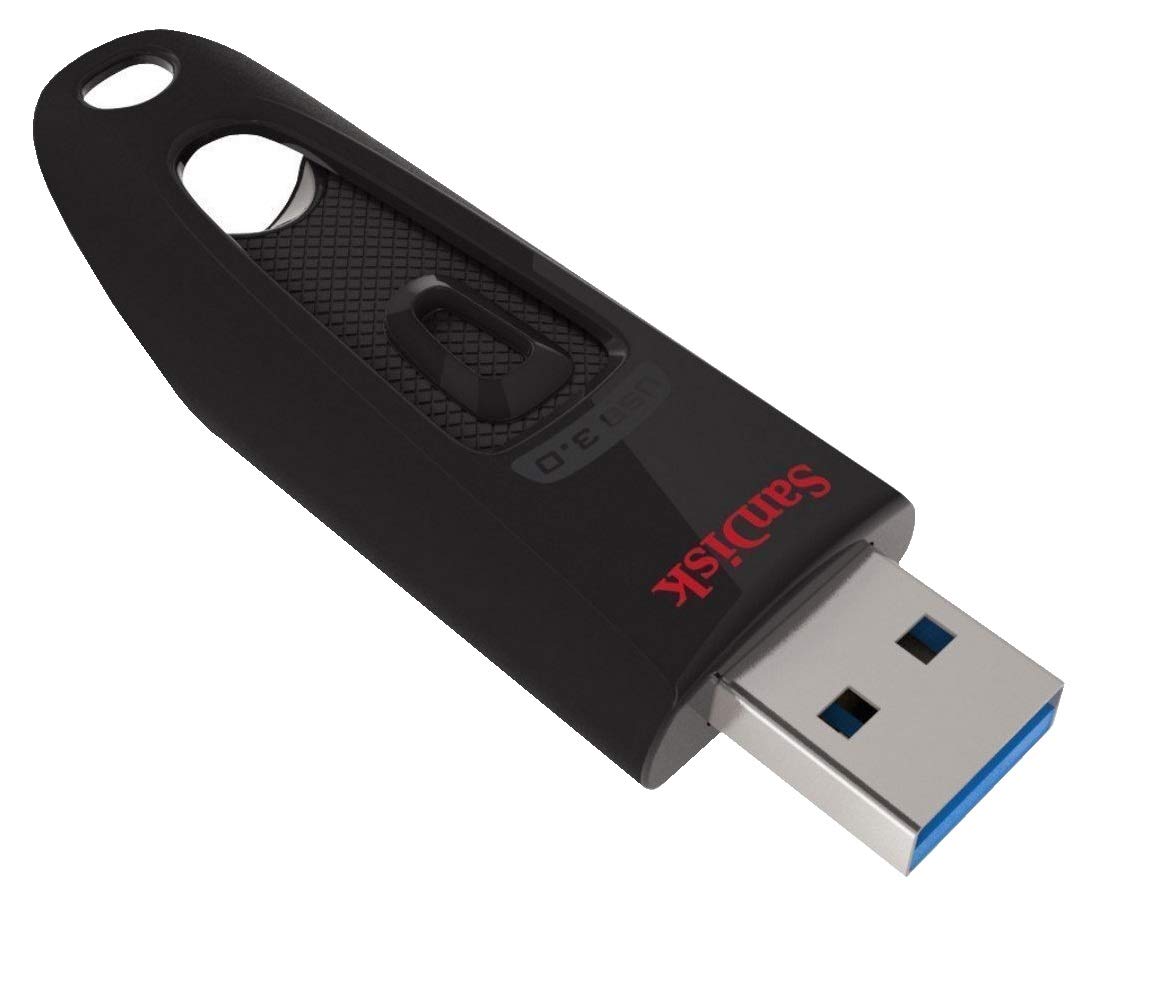 SanDisk 128GB Flash Ultra (10 Pack Bundle) 3.0 USB Flash Drive High Performance Thumb Drive (SDCZ48-128G-U46) Plus (5) Everything But Stromboli (TM) Lanyard