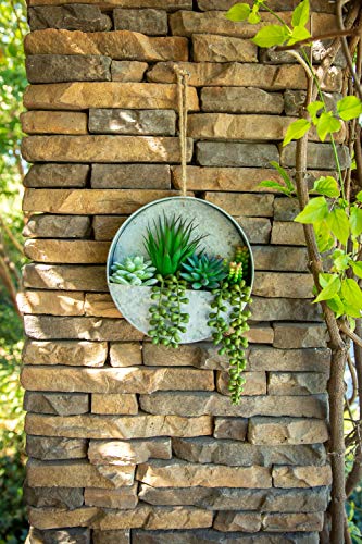 Flora Bunda Modern Artificial Succulent in 8 inch Hanging Galvanized Tin Wall Planter, Boho Wall Decor, Hanging Fake Plants Cactus for Home, Office