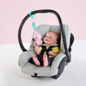 Bright Starts Flamingo Chime Along Friends Plush Take-Along Stroller or Carrier Toy, Ages 0 Month+