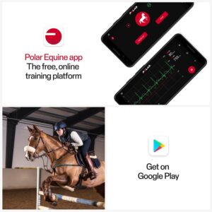 POLAR Equine H10 Heart Rate Sensor for Riding