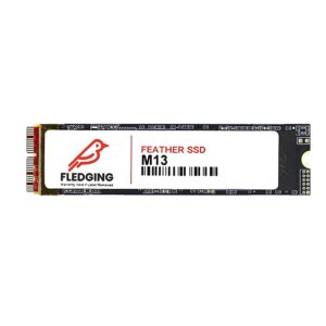 fledging 256gb feather m13-s pcie nvme gen 3.0x4 ssd upgrade – diy kit & os included – compatible with apple macbook air (2013-2015) & pro (2013-2016), mac mini (2013) & pro (2014), imac (2013-2019)