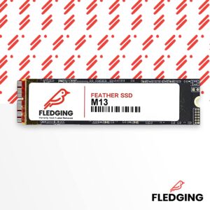 Fledging 256GB Feather M13-S PCIe NVMe Gen 3.0x4 SSD Upgrade – DIY kit & OS Included – Compatible with Apple MacBook Air (2013-2015) & Pro (2013-2016), Mac Mini (2013) & Pro (2014), iMac (2013-2019)