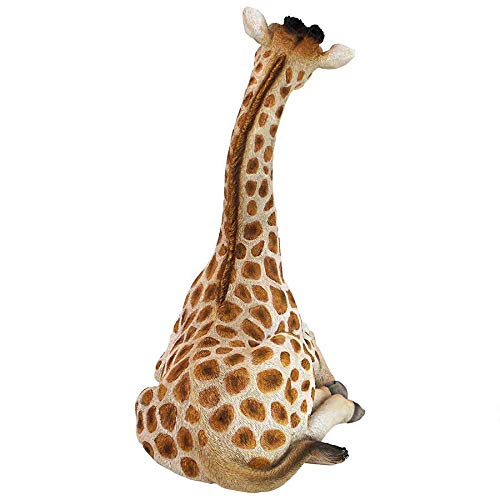 Design Toscano Zari The Resting Giraffe Statue: Medium