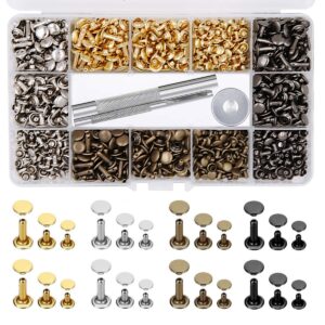 eutenghao 484pcs leather rivets double cap rivet tubular metal studs 3 sizes with punch pliers and 3pcs setting tool kit for leather craft repairs decoration (gold,silver,bronze,gunmetal, 4 colors)