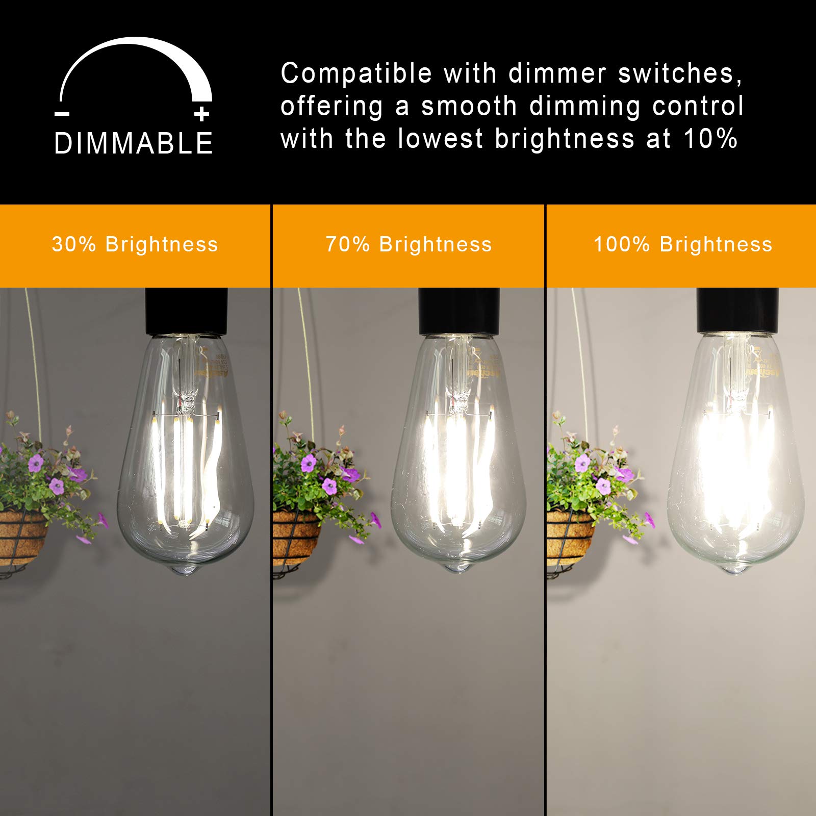 Dimmable Ascher Vintage LED Edison Bulbs, 6W, Equivalent 60W, Bright Daylight White 4000K, 80+ CRI, ST58 Antique LED Filament Bulbs, E26 Medium Base, Clear Glass, 6 Count (Pack of 1