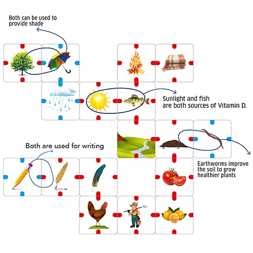 Chalk and Chuckles Board Game - Why Connect Educational and Family Game for Kids Age 6-12 Years, Speech Therapy Tool