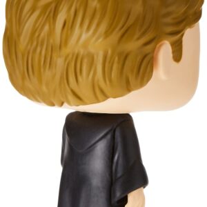 Funko Pop! Movies: Harry Potter - Cedric Diggory (Yule), Multicolor, Standard