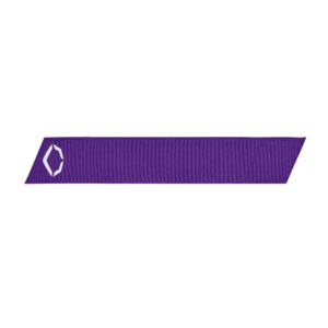 evoshield pro-srz guard strap - purple