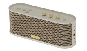 roland btm-1 bluetooth speaker with guitar input