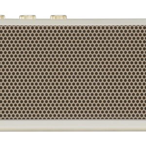 Roland BTM-1 Bluetooth Speaker with Guitar Input