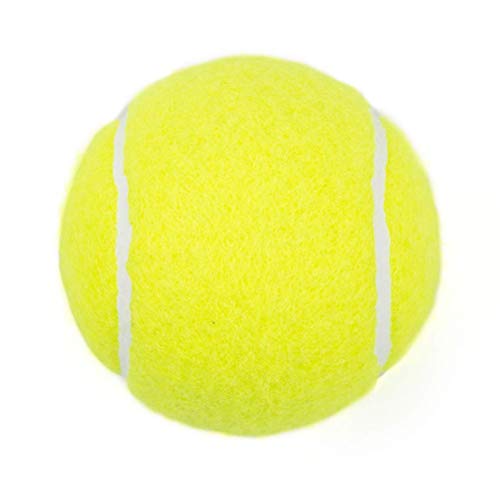 Tebery 20 Pack Green Advanced Training Tennis Balls Beginner Practice Ball, Pet Dog Playing Balls, Come with Mesh Bag for Easy Transport (Green)