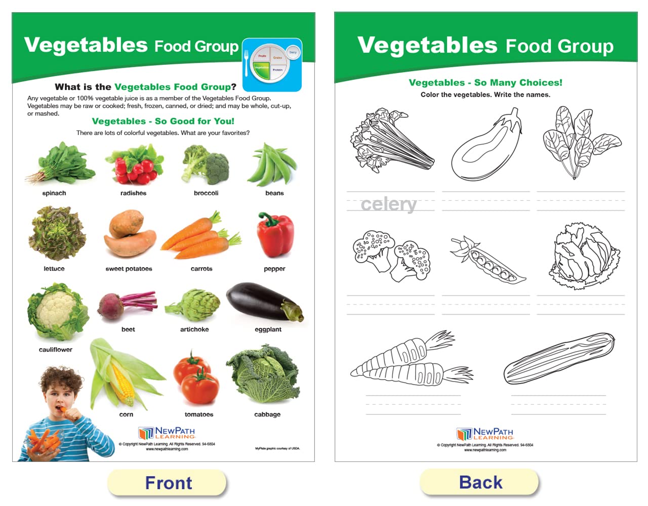 NewPath MyPlate - Food & Nutrition Bulletin Board Charts, Gr 1-4, Set/8 - Laminated, Double-Sided, Full-Color, 12" x 18" (94-1120)