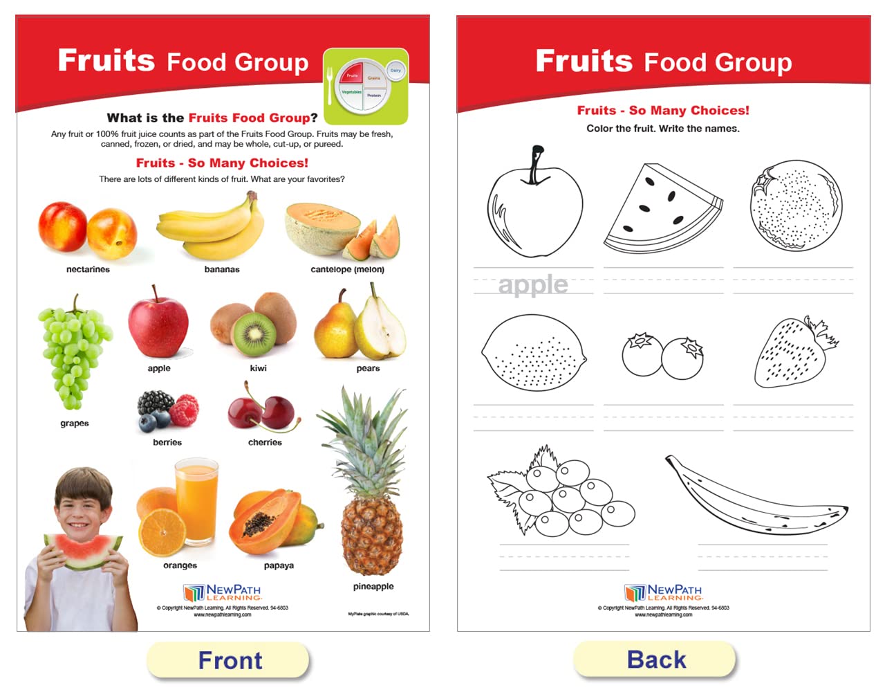 NewPath MyPlate - Food & Nutrition Bulletin Board Charts, Gr 1-4, Set/8 - Laminated, Double-Sided, Full-Color, 12" x 18" (94-1120)