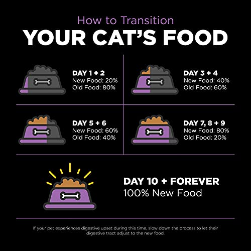 GO! SOLUTIONS Carnivore Grain Free Dry Cat Food, 3 lb - Chicken, Turkey + Duck Recipe - Protein Rich Dry Cat Food - Complete + Balanced Nutrition for All Life Stages