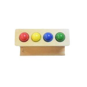 LEADER JOY Montessori Toddlers Wooden Push Ball Toys Baby Preschoolers Toys Push Toys