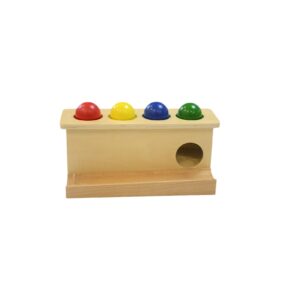 LEADER JOY Montessori Toddlers Wooden Push Ball Toys Baby Preschoolers Toys Push Toys